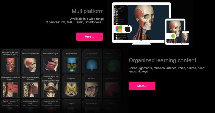 Come scaricare 3D Anatomy Learning per studiare il corpo umano • Guide ...
